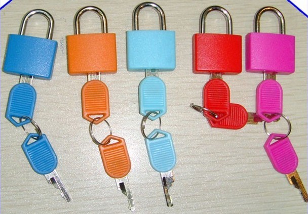 Mini Plastic Lock/20MM Mini Lock